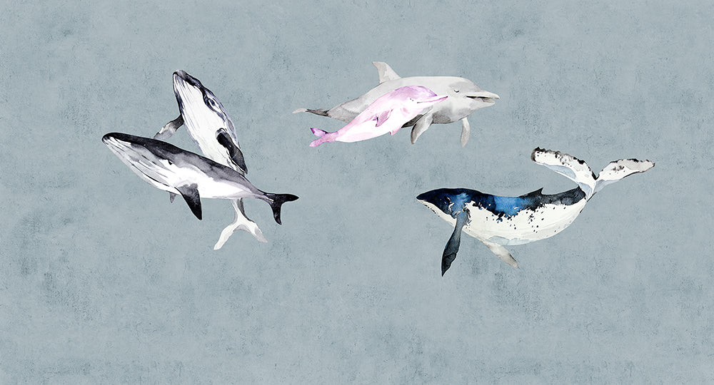 Walls by Patel 3 - Oceans Five Whales & Dolphins | eurowalls – eurowalls™